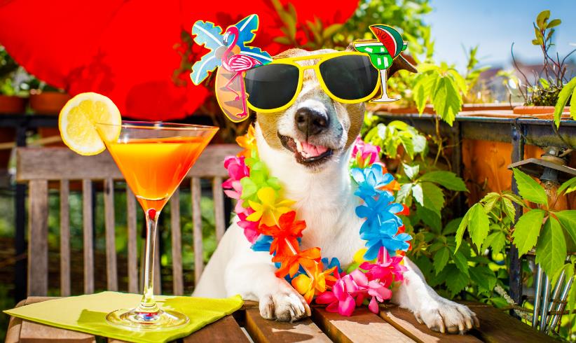 Four Different Concepts Of Bars | eBusiness blog