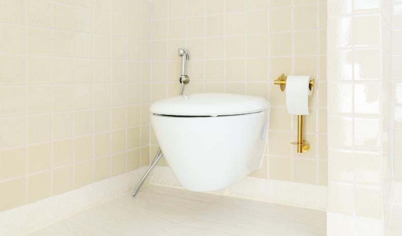Back to Wall Toilet Installation - A Homeowner’s Guide | eBusiness blog